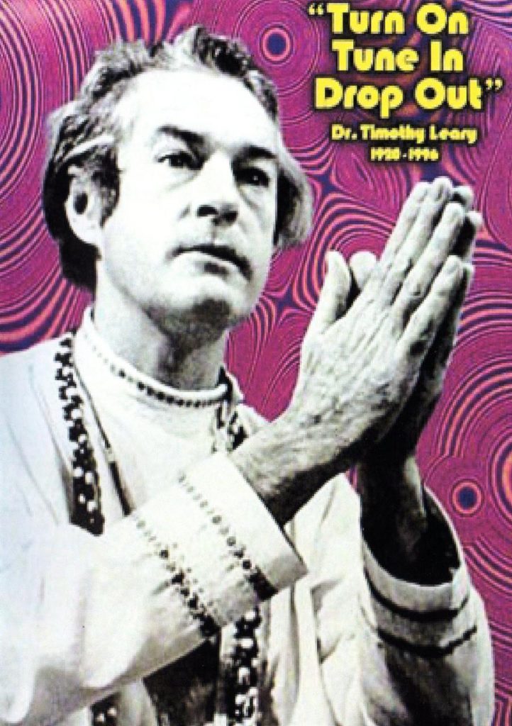 Reflections on Ayahuasca, Psychedelics, Marijuana, and a critical look ...