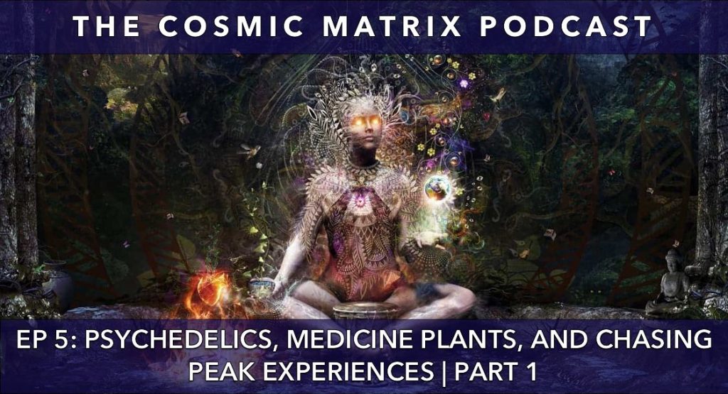 Psychedelics, Medicine Plants, and Chasing Peak Experiences | The ...